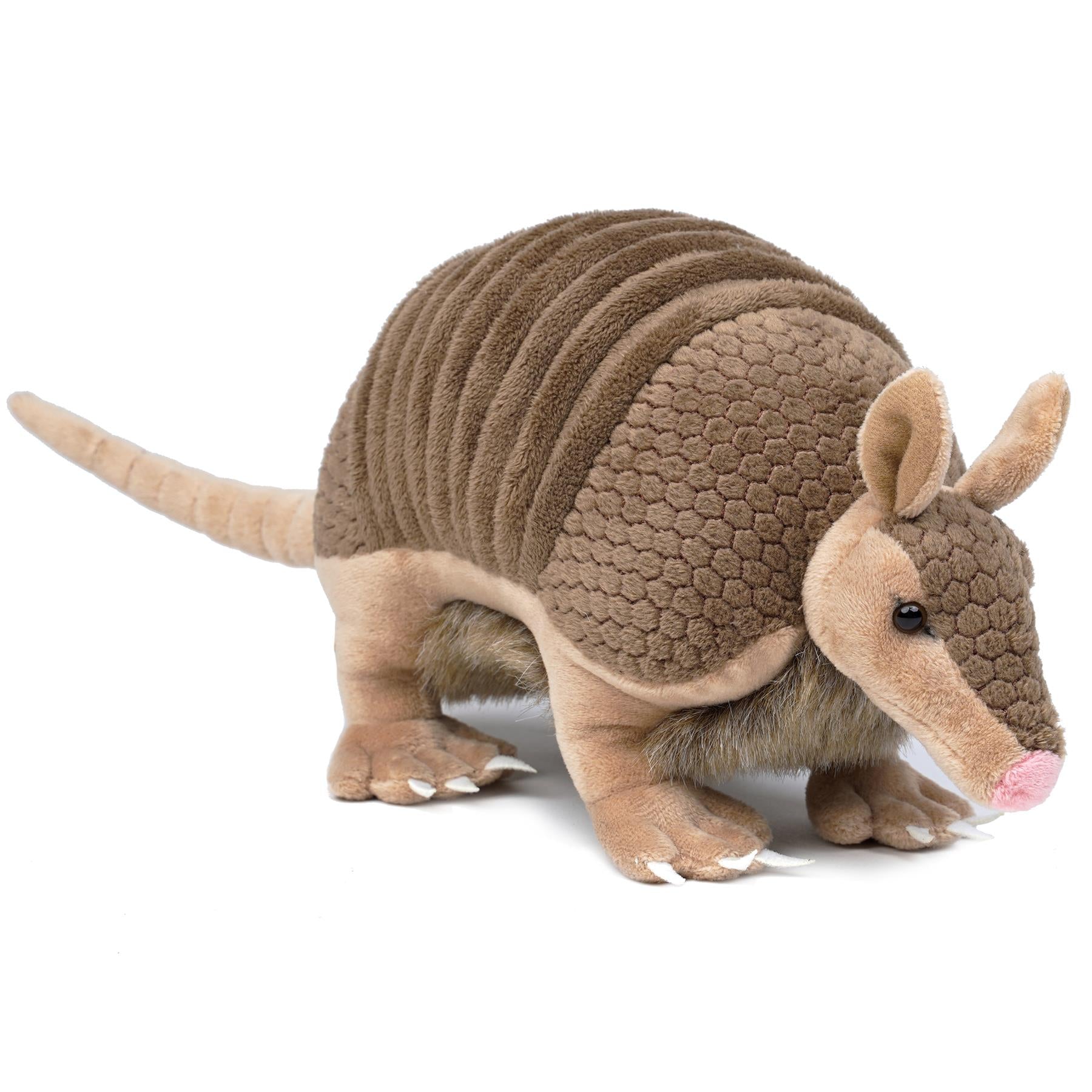 Mike The Armadillo - 10 Inch Stuffed Animal Plush – Wholesale ...